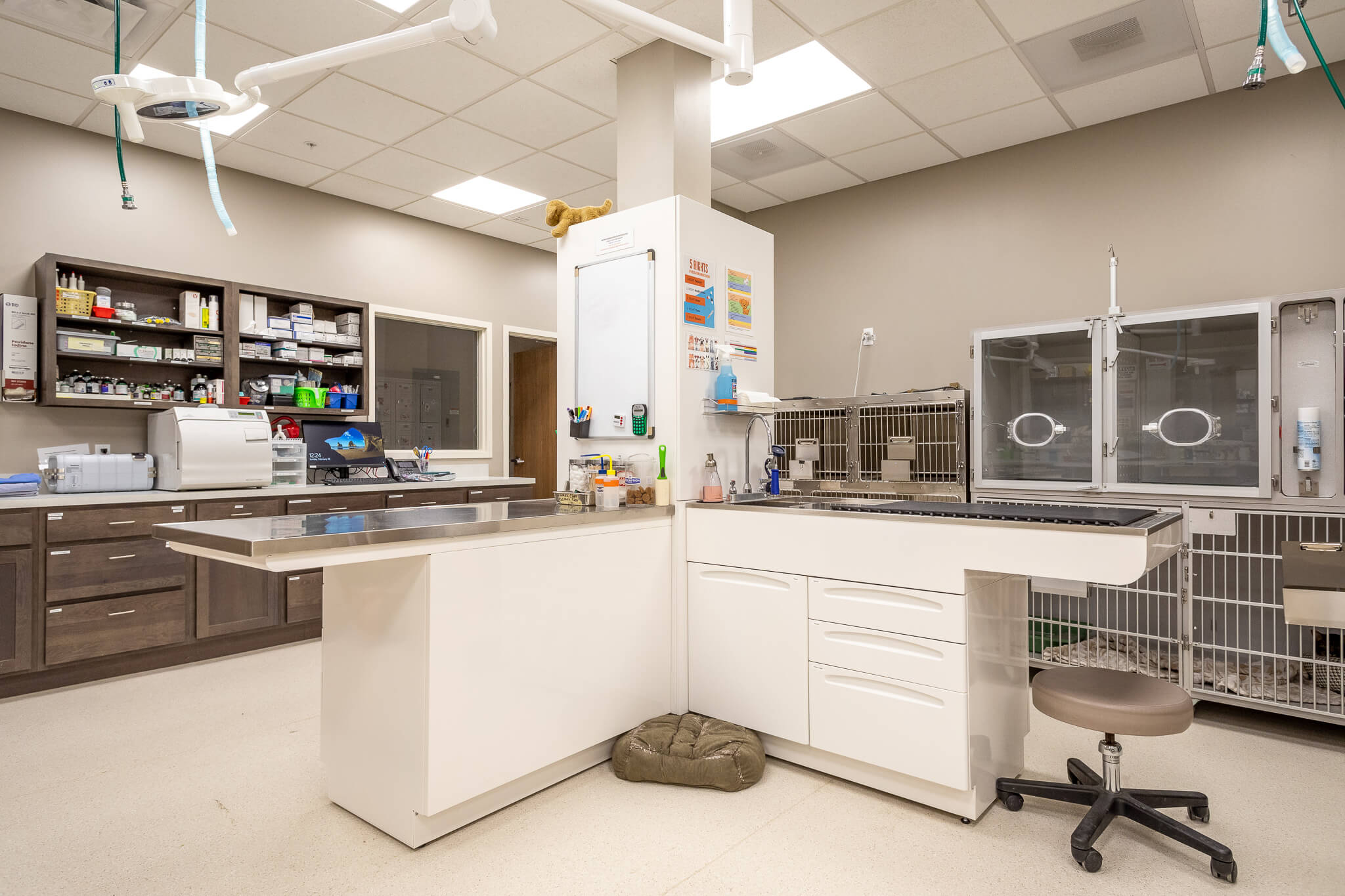 Tour Our Hospital | Hartrick Veterinary Clinic | Royal Oak